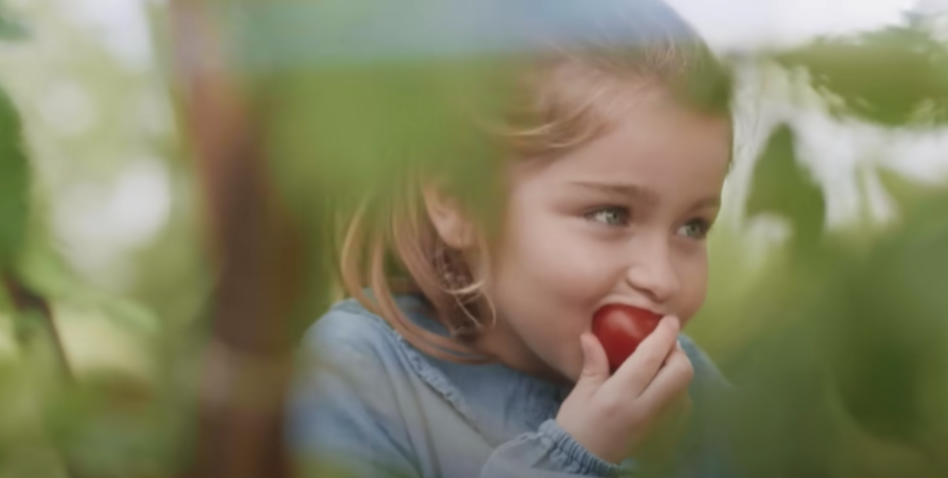 Campagne publicitaire CÉRÉBOS - Big Success